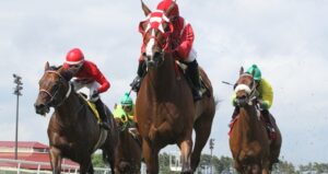 Canterbury Park 2022 Racing Receive MN Racing Commission Approval