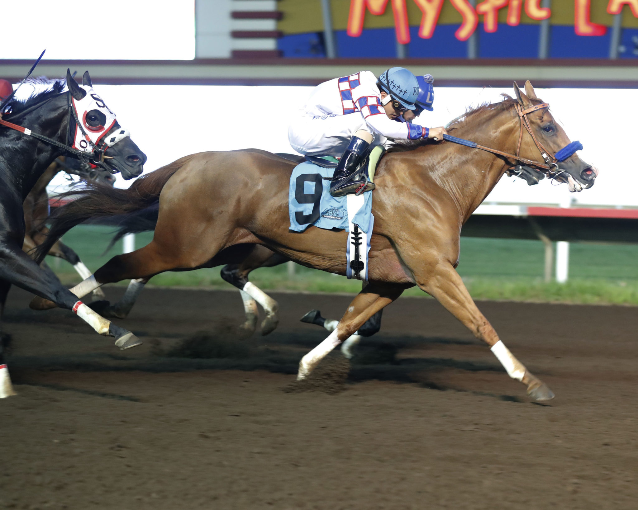 Reigning World Champion Danjer Sets Track Record in Canterbury ...