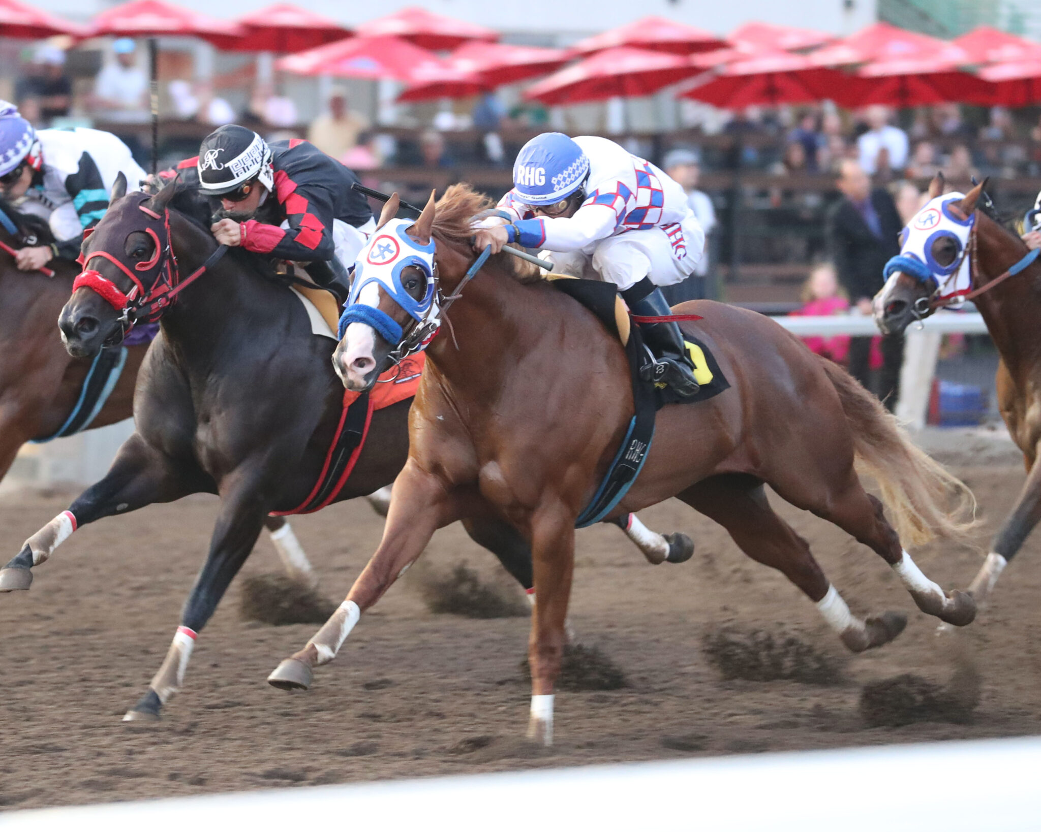 Olmstead, Garcia, Maher win $80,400 Northlands Futurity and $50,075 ...
