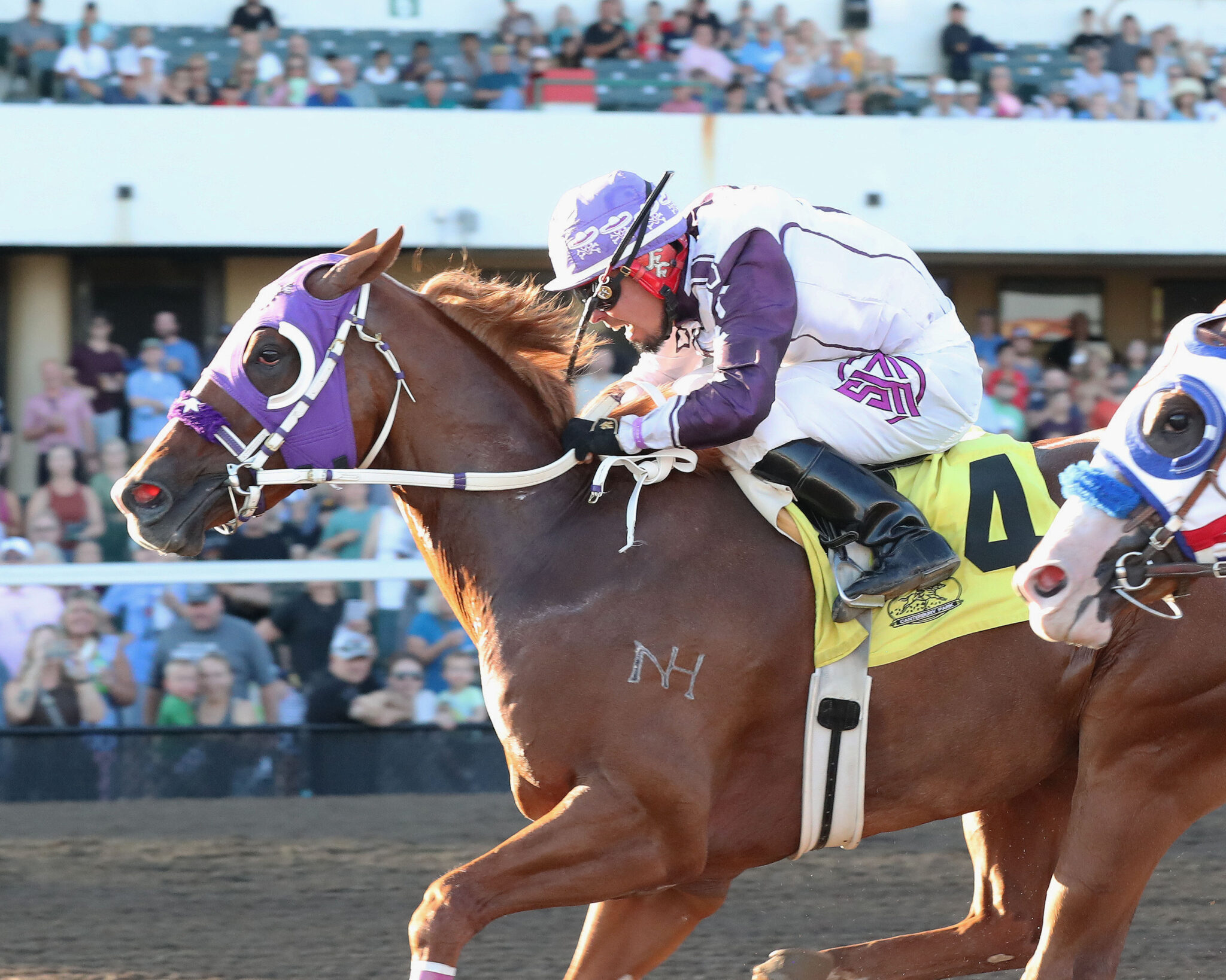Ding Dang Dulce wins $71,300 Northlands Futurity by a head - Canterbury ...